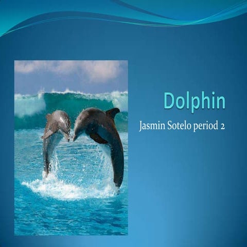 Dolphin | PPTX