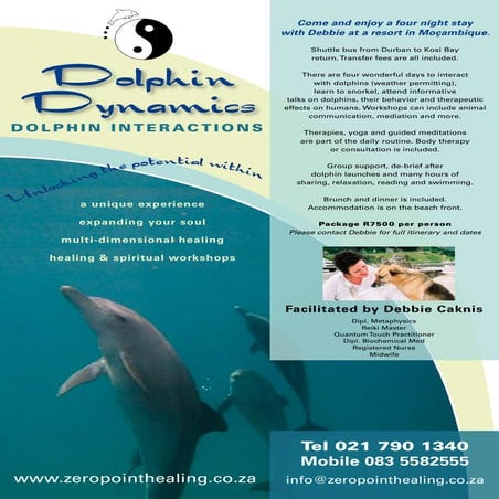 Dolphin Dynamics Retreat in Ponta | PDF | Travel