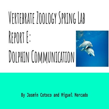 Dolphin Communication | PDF