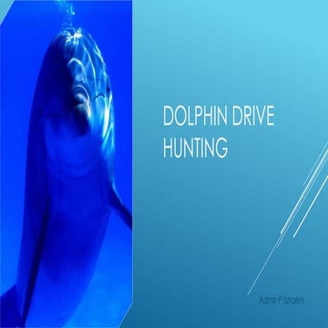 Dolphin Drive hunting method and spec in japan | PPTX