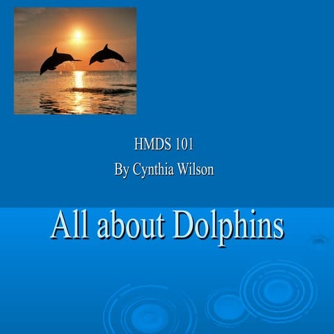 Dolphin powerpoint final | PPT