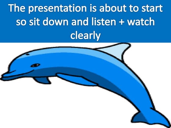 Dolphin | PPT