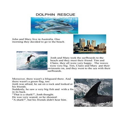 Dolphin rescue | PDF