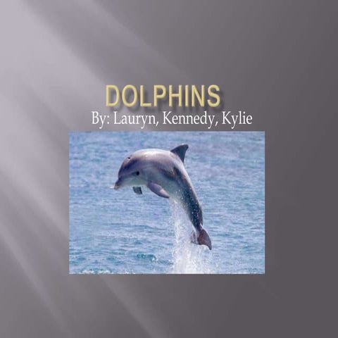 Dolphins | PPTX | Zoos & Aquariums | Attractions