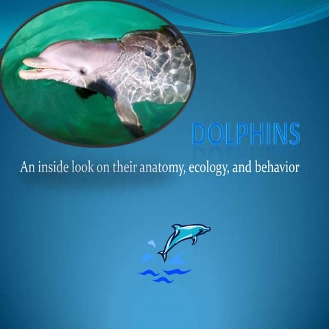 Linguistics animal communication | PPT