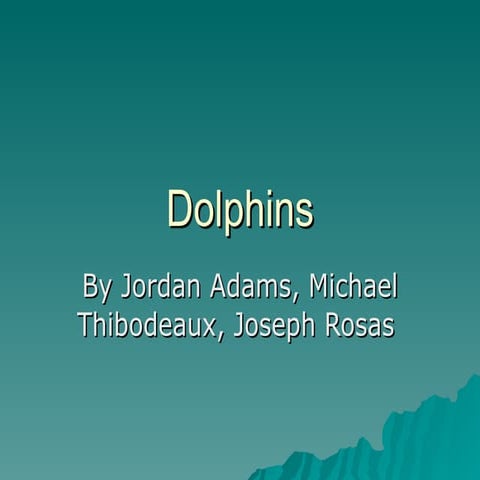 Dolphins Research | PPT
