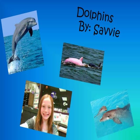 Dolphin presentation | PPTX