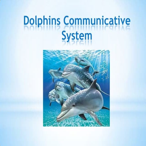 Dolphins Communicative System | PPTX