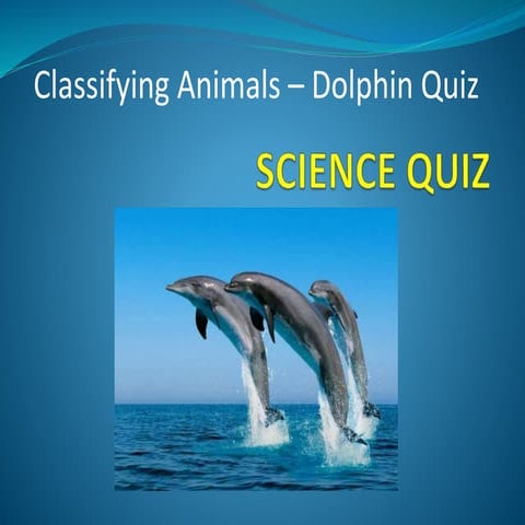 Dolphins Quiz | PPT