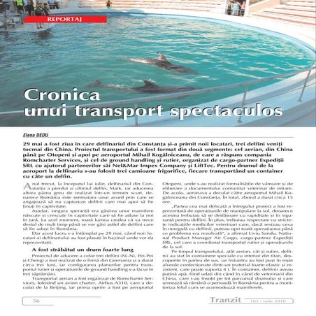 Dolphins reportaj | PDF