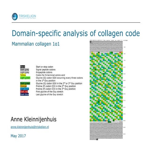 Domain-specific analysis of collagen code | PPT