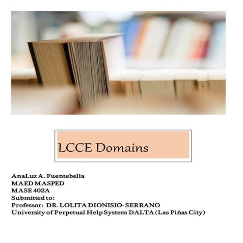 lcce matrix | PDF