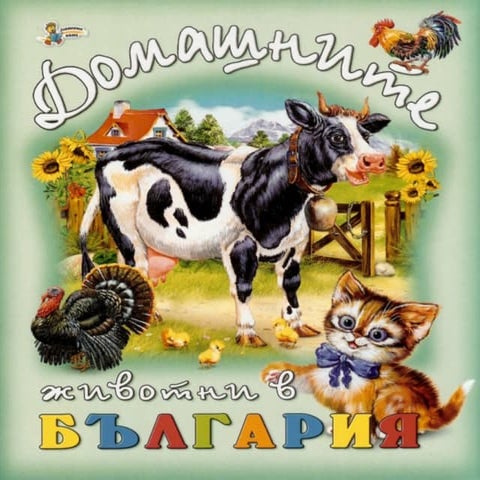 Domashni.jivotni Домашни животни в България | PPT