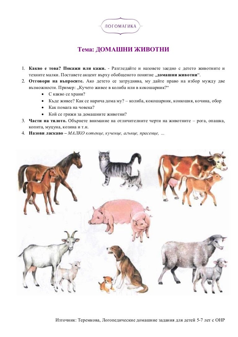 Домашни животни