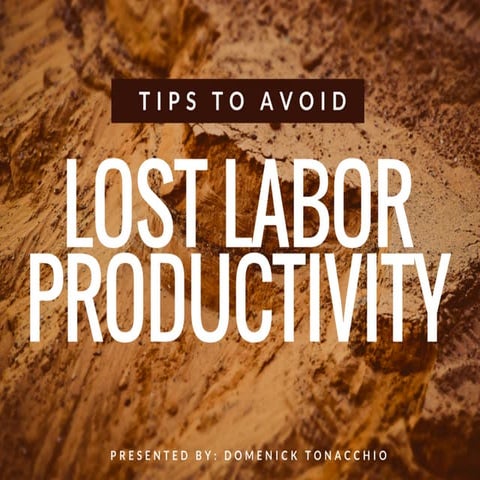Domenick Tonacchio Presents: Tips to Avoid Lost Labor Productivity ...