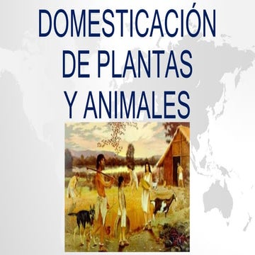 Domesticación de plantas y animales POR DAVID CASTILLO | PPTX