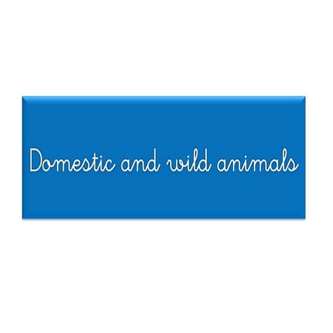 Domestic and wild animals | PPT