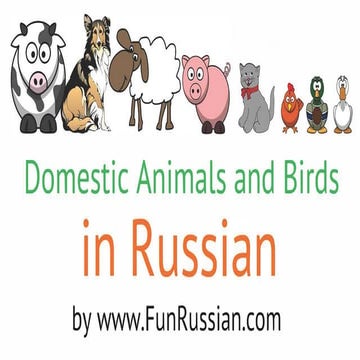 Learn Russian: Farm Animals | PDF | Birds | Pets