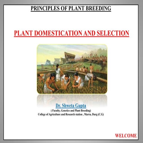 Plant Domestication and selection in plant breeding | PPTX
