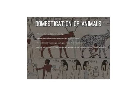 History of the animal science industry | PDF | Dogs | Pets
