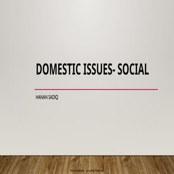 Domestic Issuegggggggggggggs- Social.pptx