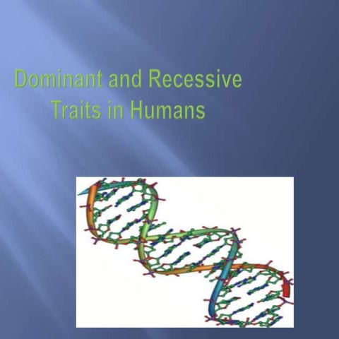 Dominant and recessive traits in humans | PPTX