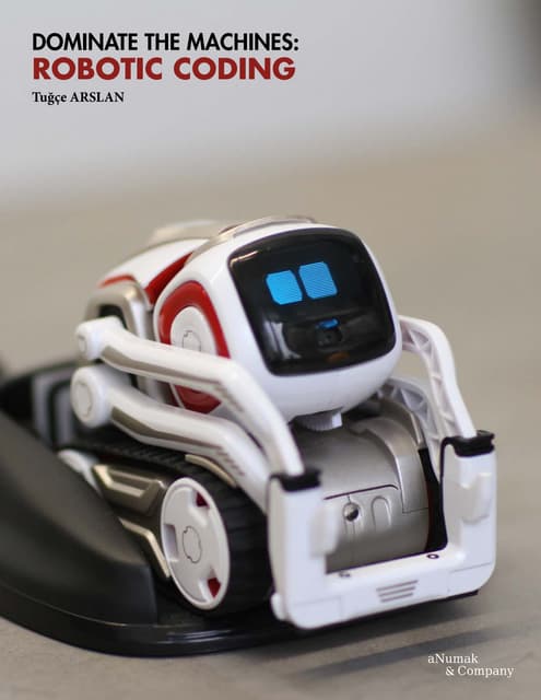 fireya robotics.pptx