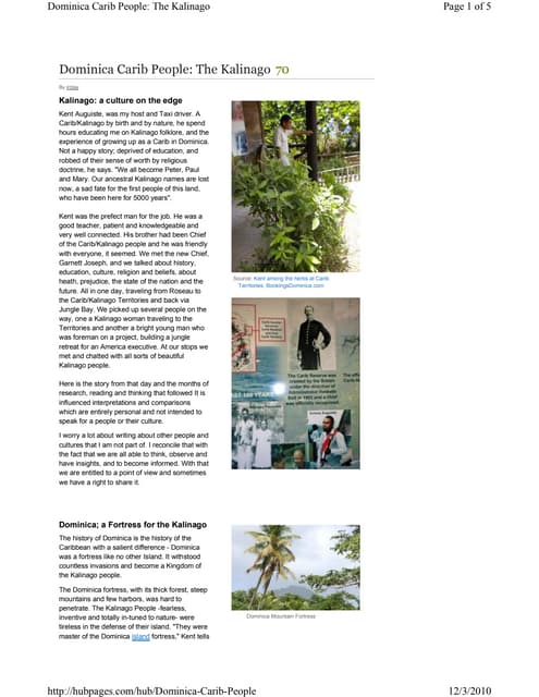 Comparison of the maya, taino and the kalinago | DOCX