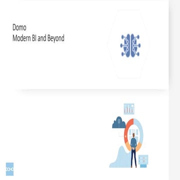 Domo Architecture Slides Providing Functional View | PPTX