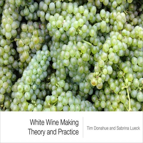 Practical White Wine Production: Theory and Practice | PDF