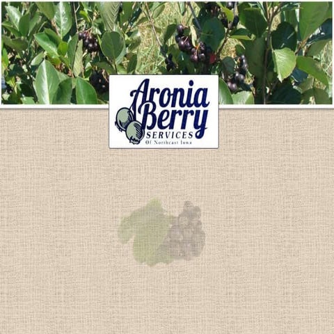 Aronia Berry Services Iowa PPT | PPSX
