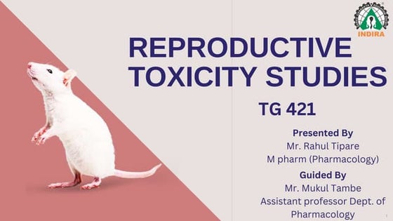 PPT On Female Reproductive Toxicology | PPTX