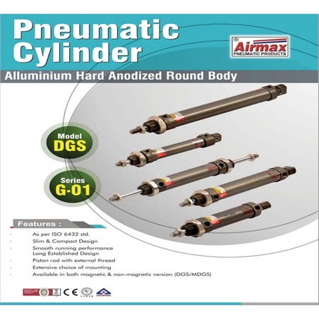 DGS Pneumatic Cylinders | PDF