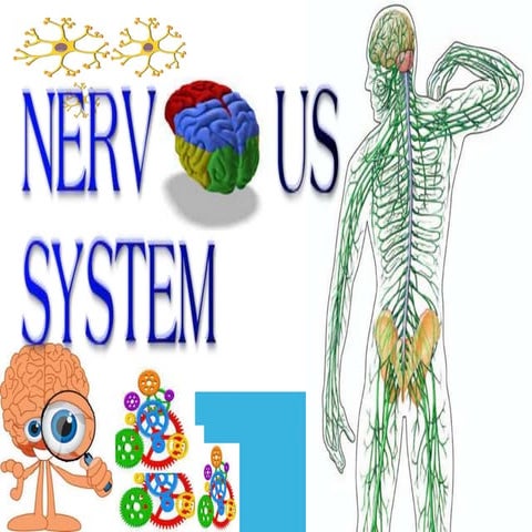 Nervous System Lesson for Grade 6 in Science | PPTX