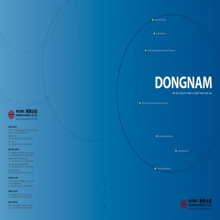 Dongnam Chemical Catalog 2015.pdf