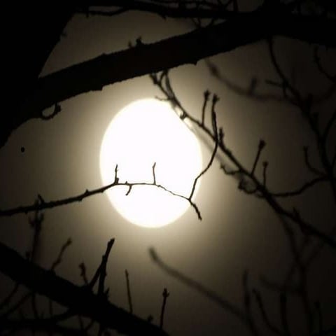 Donker naar licht | PPT