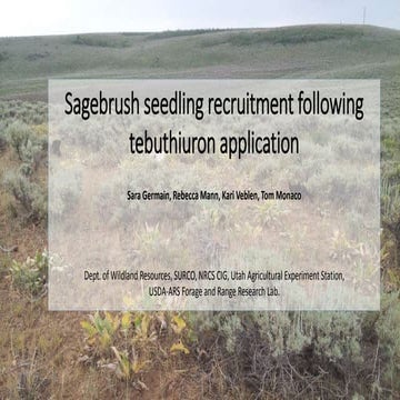 Sagebrush Seedling Recruitment Following Tebuthiuron Application | PPTX