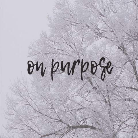 On Purpose | PDF