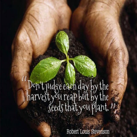 "Don't judge each day by the harvest you reap but by the seeds that you ...