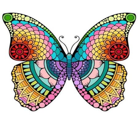 DOODLE BUTTERFLY.docx