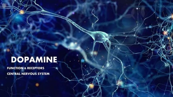 Dopamine And Pathways | PPTX | Brain and Nervous System Disorders ...
