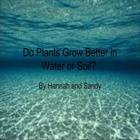 Do plants grow better in water or soil | PPT
