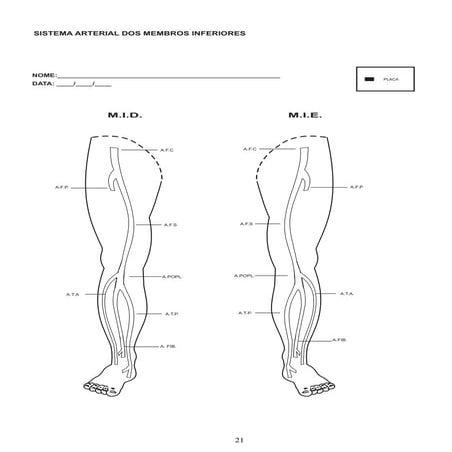 Cartografia Doppler Arterial de MMII | PDF