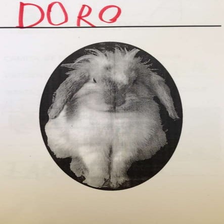 Doro Pptx