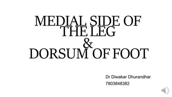 dorsum of foot anatomy presentation.pptx | Death, Injury, or Military ...