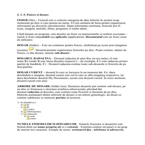 DOSARE SI FISIERE TEORIE PROPRIETATI SI APLICATII.docx
