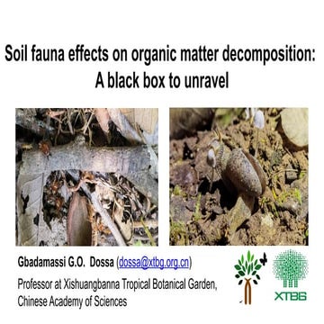Dossa presentation invited talk soil fauna contribution.pptx