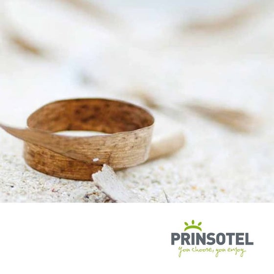 Prinsotel 2018 Official brochure | PPT