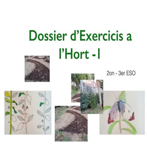 Dossier d'exercicis a l'hort 1 | PDF