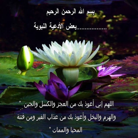 Douaa Our Prophet | PPS